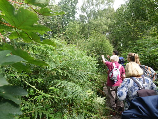 Nature Reserves Fund | Dorset Wildlife Trust