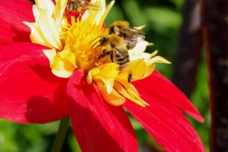 Things to do | Dorset Wildlife Trust