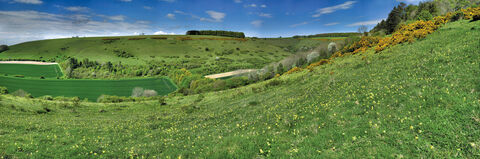 Fontmell Down | Dorset Wildlife Trust