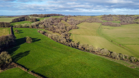 Lyscombe | Dorset Wildlife Trust