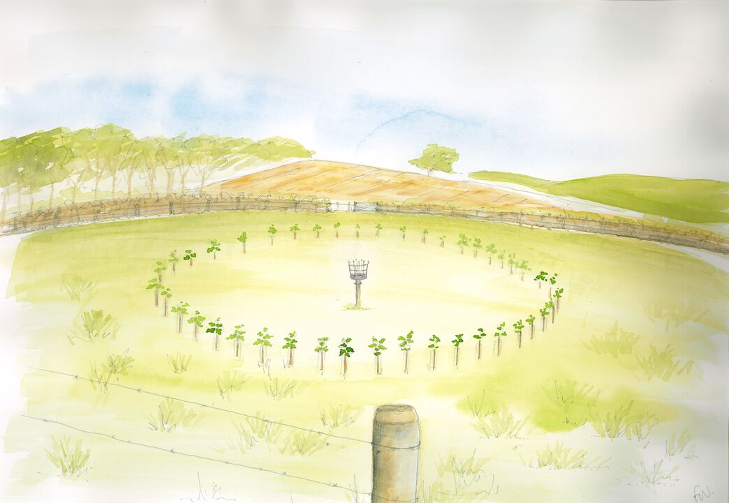 Acorn collecting with Bere Regis Primary School | Dorset Wildlife Trust