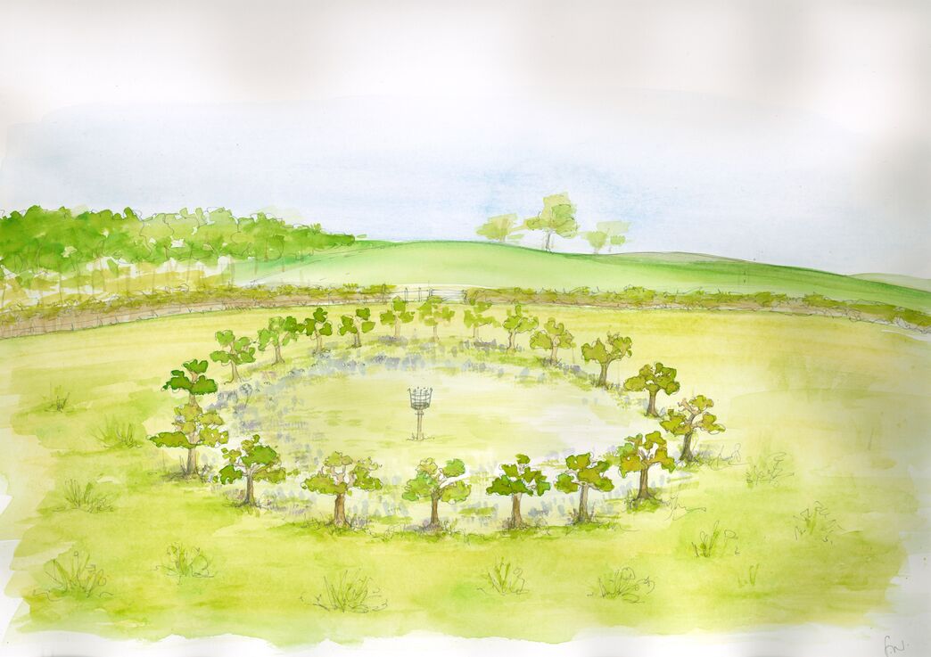 Acorn collecting with Bere Regis Primary School | Dorset Wildlife Trust