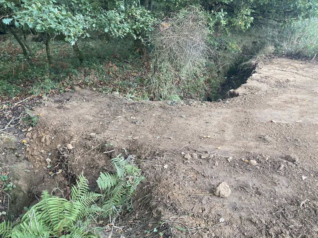 Stage-0 River Restoration at Wild Woodbury | Dorset Wildlife Trust