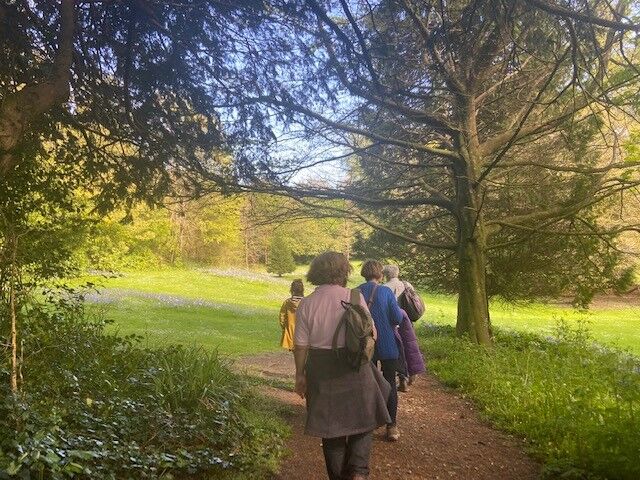 World Mental Health Day: The importance of nature connection | Dorset ...