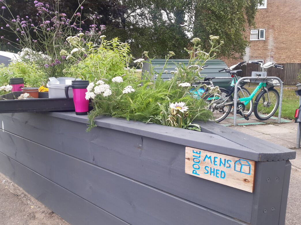 The Adam Practice | Dorset Wildlife Trust