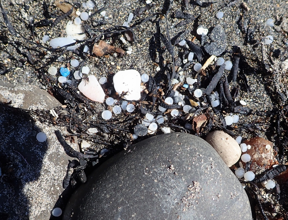 Nurdles washed up at Kimmeridge Bay | Dorset Wildlife Trust