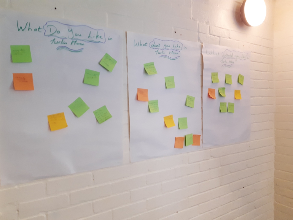 Nextdoor Nature: Turlin Moor Community Garden Open Day | Dorset ...