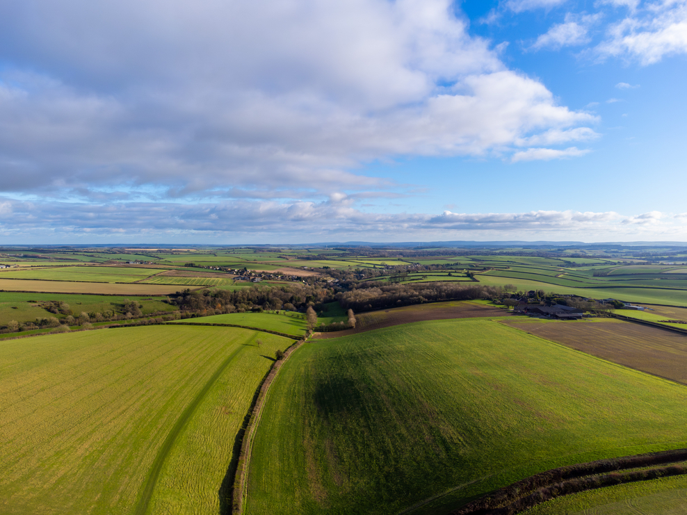 Dorset Wildlife Trust partners with Natural England to acquire Lyscombe ...