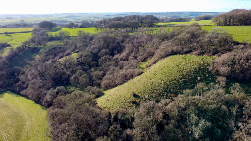 Lyscombe | Dorset Wildlife Trust