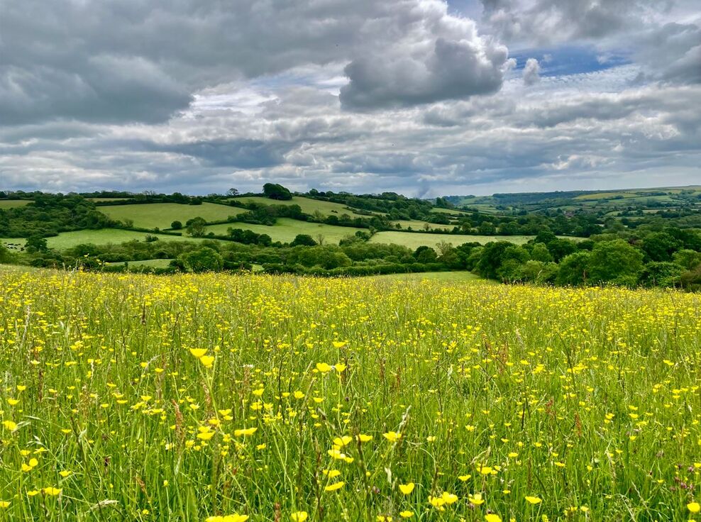 Photography competition 2024 | Dorset Wildlife Trust