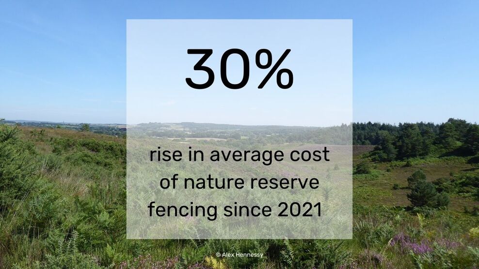 Nature Reserves Fund | Dorset Wildlife Trust
