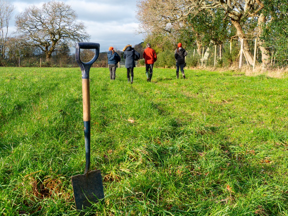 Fundraising campaign aiming to raise £40,000 to plant Trees for ...