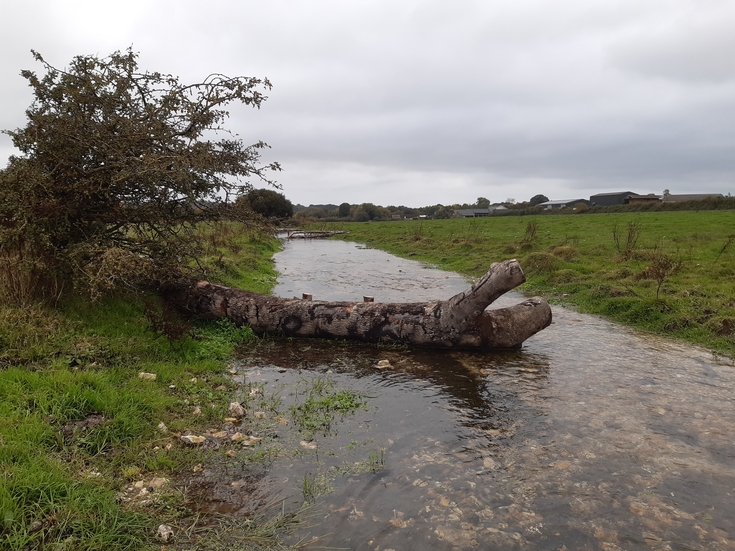 Devil's Brook River restoration | Dorset Wildlife Trust