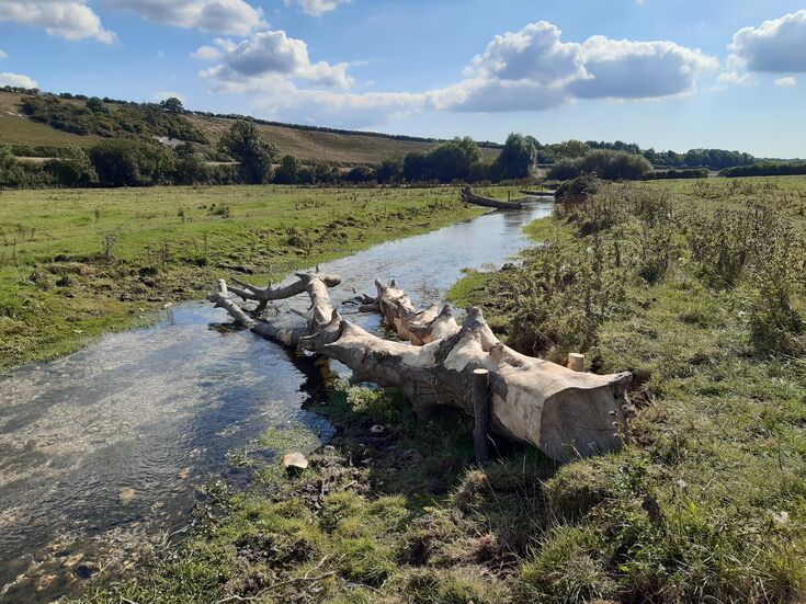 Devil's Brook River restoration | Dorset Wildlife Trust