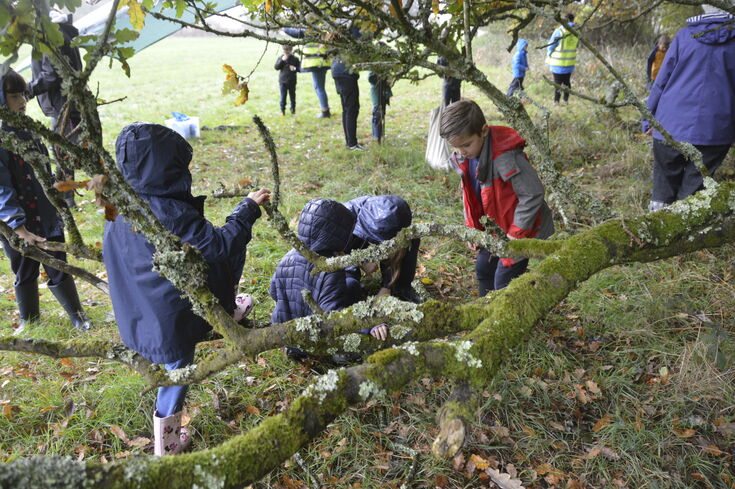 Acorn collecting with Bere Regis Primary School | Dorset Wildlife Trust
