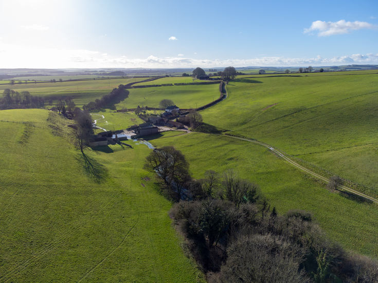 Lyscombe | Dorset Wildlife Trust