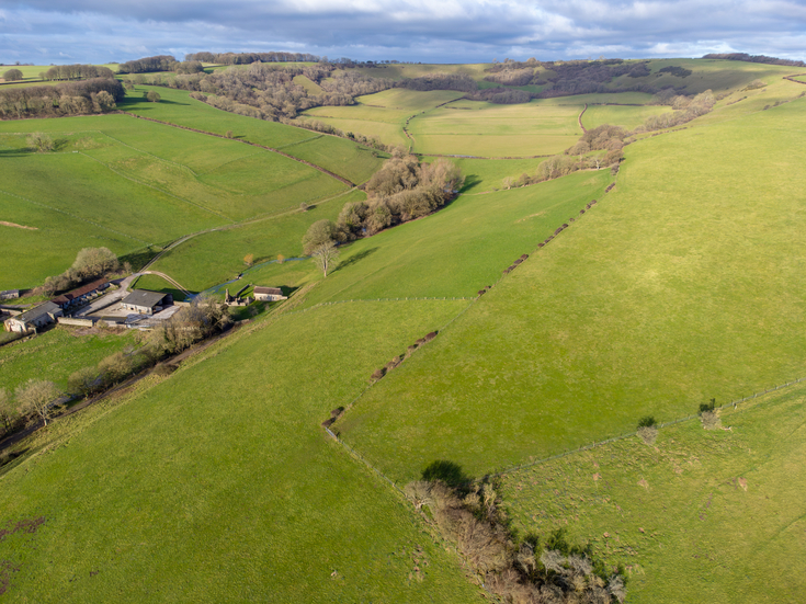 Our vision for Lyscombe nature reserve | Dorset Wildlife Trust