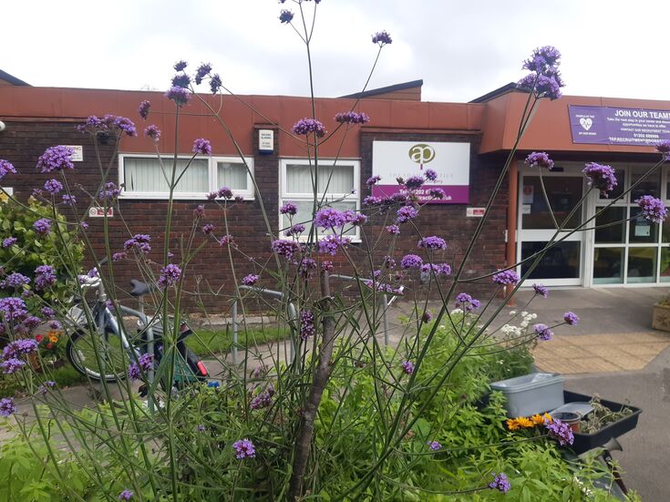 The Adam Practice | Dorset Wildlife Trust