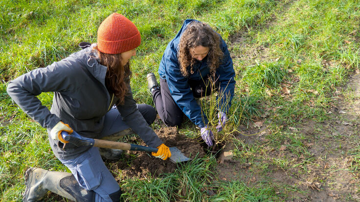 Fundraising campaign aiming to raise £40,000 to plant Trees for ...