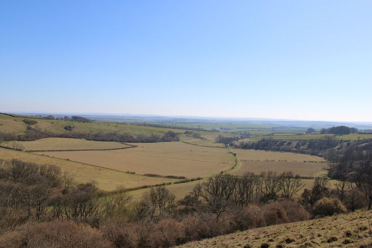 Lyscombe Ancient Monuments | Dorset Wildlife Trust
